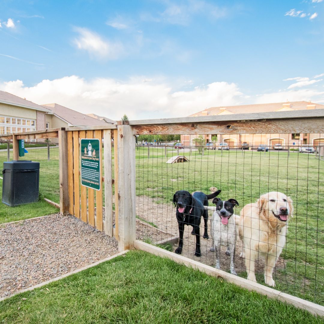Discover Community Life at Stonegate – Schedule a Tour!